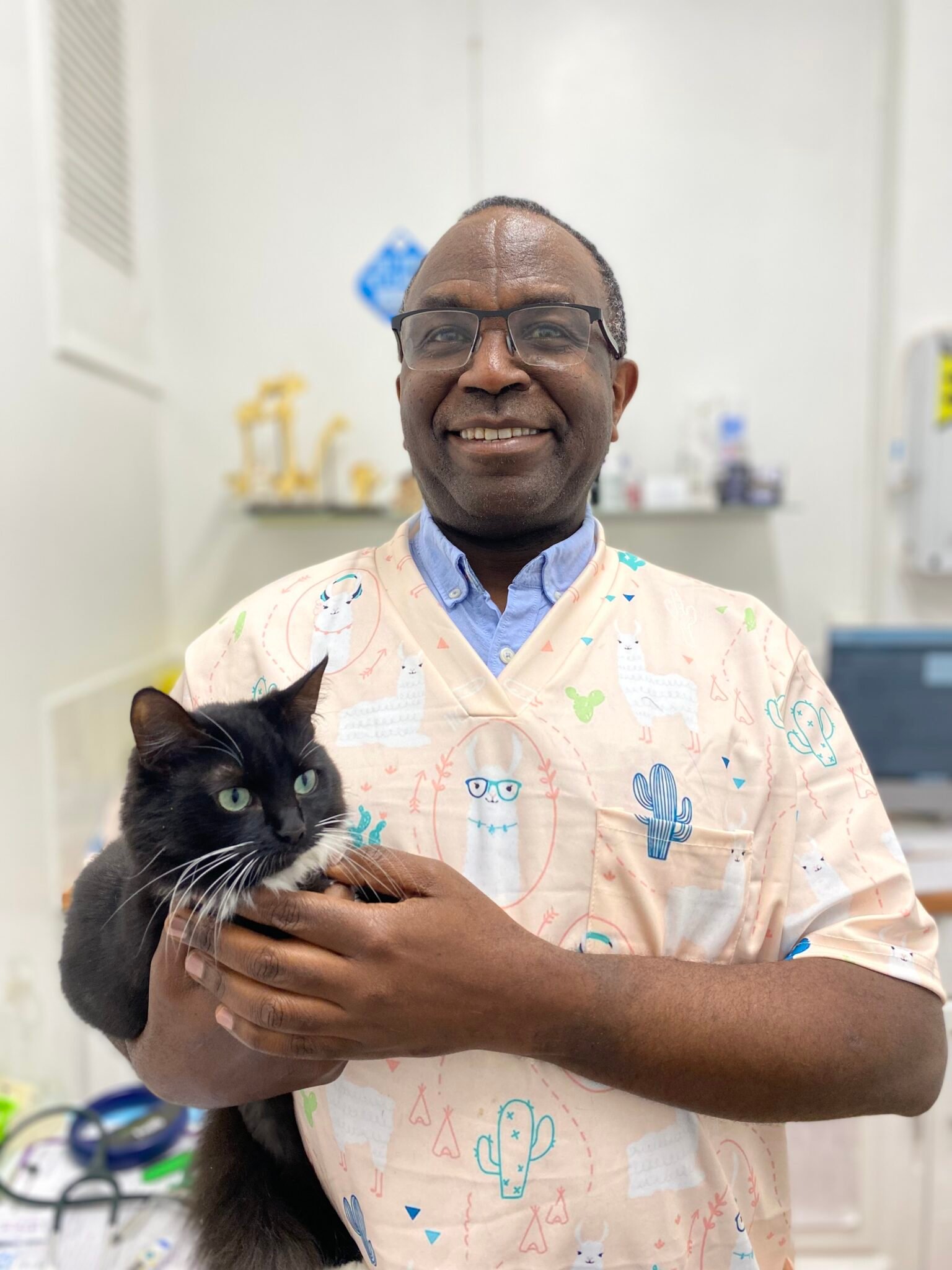 About Us – Petwell House Vets